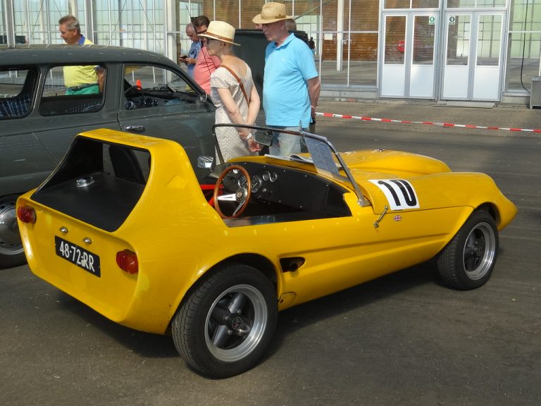 Biota Mk1 | Small Cars Club